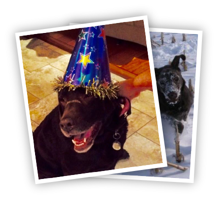 Home - Craig Ballantyne